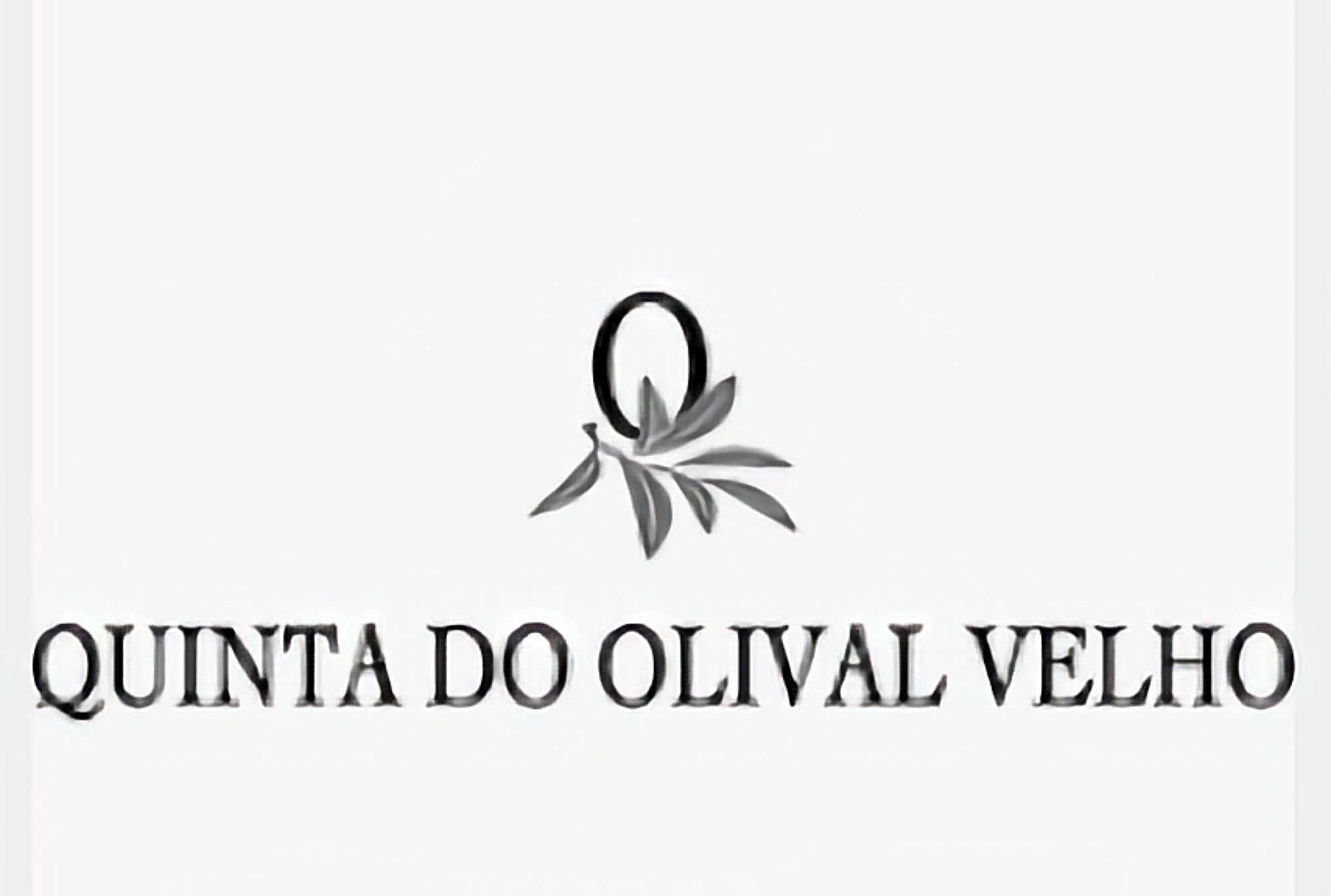 Quinta do Olival Velho - EasyWine